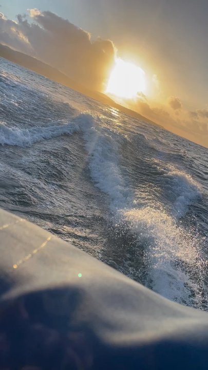 HOLO HOLO CHARTERS - Updated March 2025 - 996 Photos & 1097 Reviews - 4353 Waialo Rd, Eleele ...