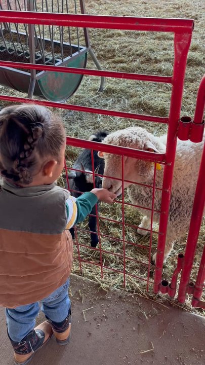DUTCH HOLLOW FARMS - Updated May 2026 - 250 Photos & 120 Reviews - 2500 ...
