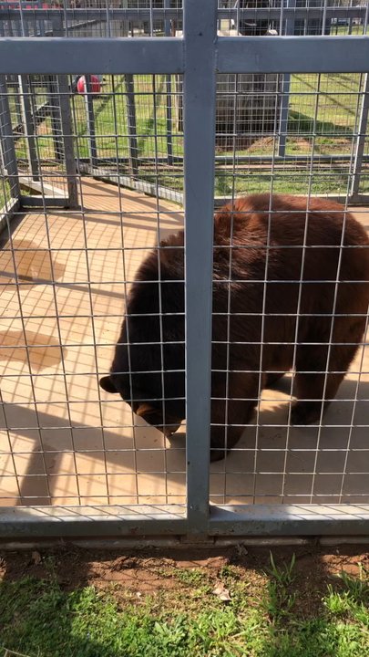 SHARKAROSA WILDLIFE RANCH - Updated October 2025 - 312 Photos & 135 ...