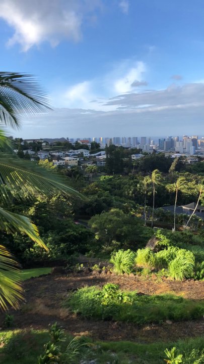KAMEHAMEHA SCHOOLS KAPALAMA - Updated October 2025 - 102 Photos & 19 ...