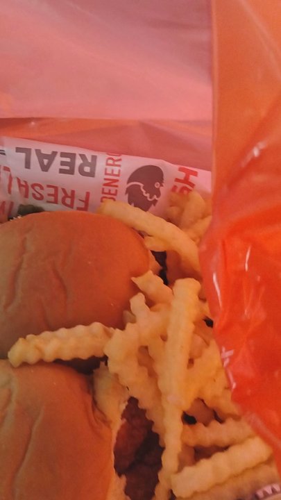 THE RED BIRD HOT CHICKEN & FRIES - Updated March 2025 - 137 Photos & 76 ...