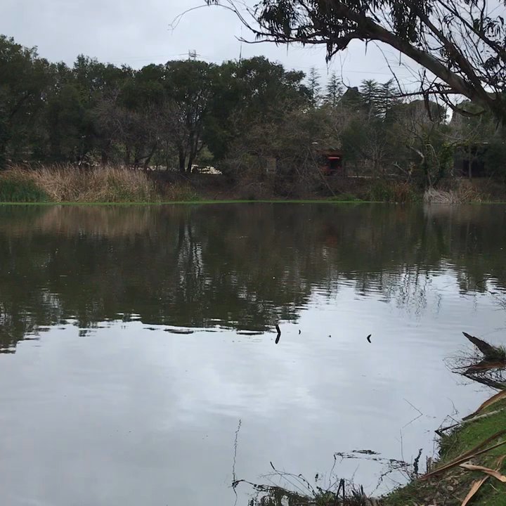 DON CASTRO REGIONAL RECREATION AREA - Updated August 2025 - 395 Photos ...