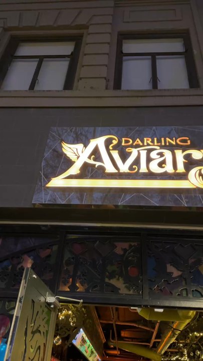 DARLING AVIARY - Updated May 2025 - 875 Photos & 700 Reviews - 712 K St ...