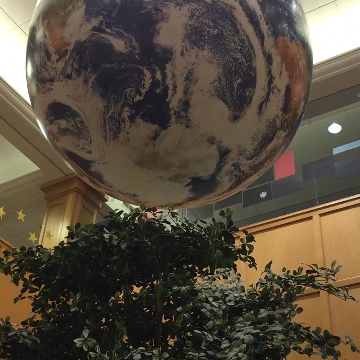 CLINTON MACOMB PUBLIC LIBRARY - Updated March 2025 - 49 Photos & 24 ...