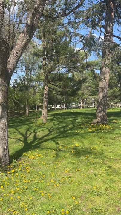 LYNDALE PARK ROSE GARDEN - Updated May 2026 - 184 Photos & 28 Reviews ...