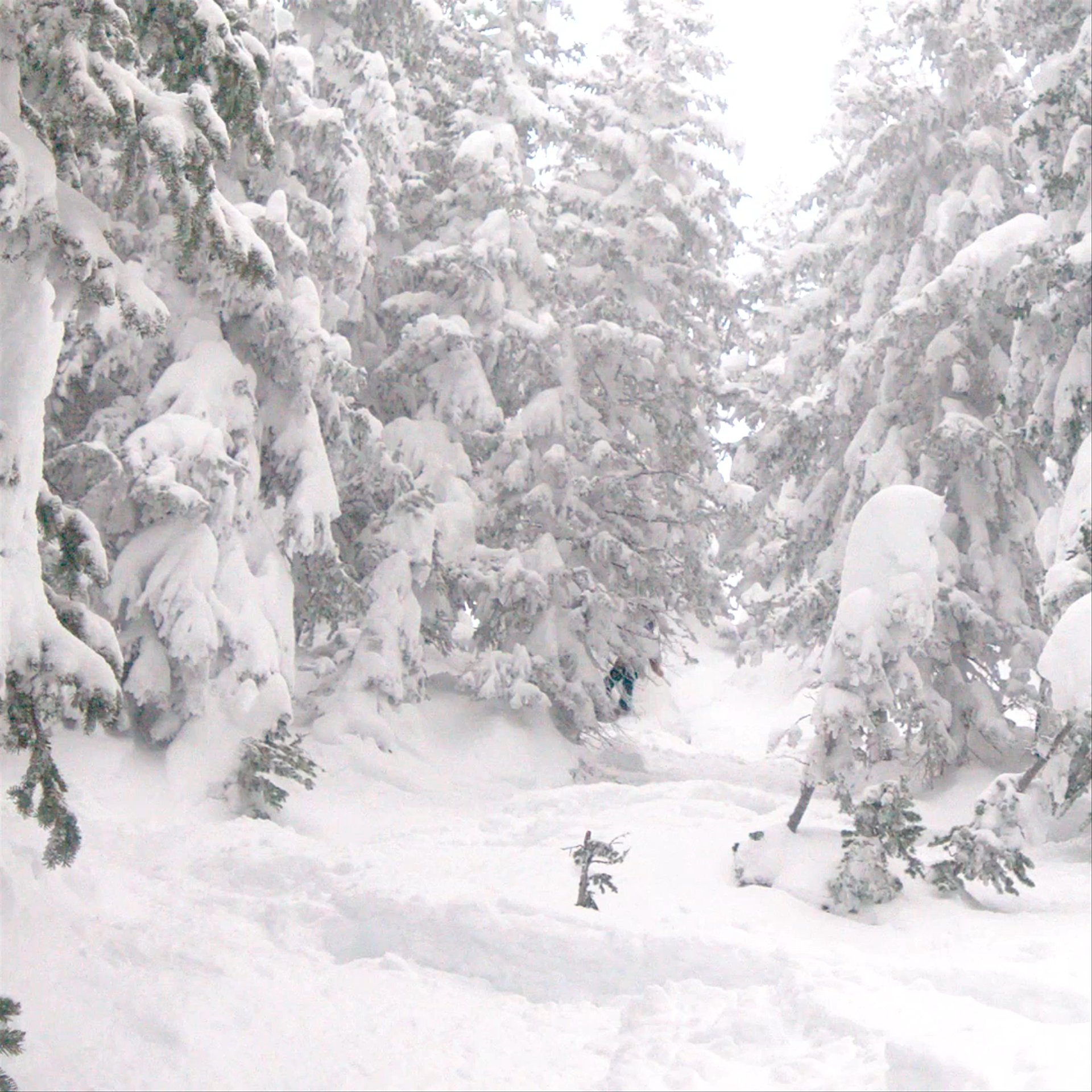 Altitude Snow Shell 2.0 - Rubber Brown