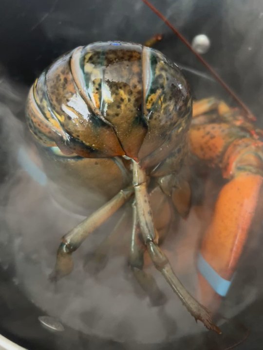 SHOPRITE OF CLARK - Updated July 2025 - 50 Photos & 96 Reviews - 76 ...