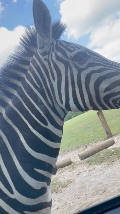 EUDORA WILDLIFE SAFARI PARK - Updated June 2026 - 263 Photos & 60 ...