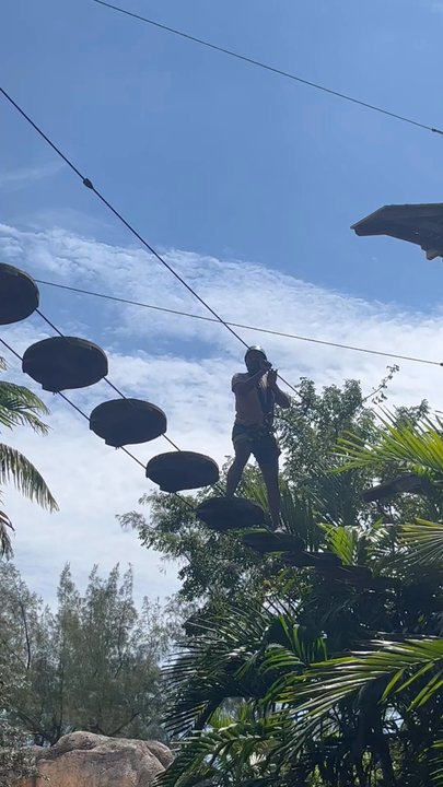 TREETOP TREKKING MIAMI - Updated May 2026 - 32 Photos & 24 Reviews ...