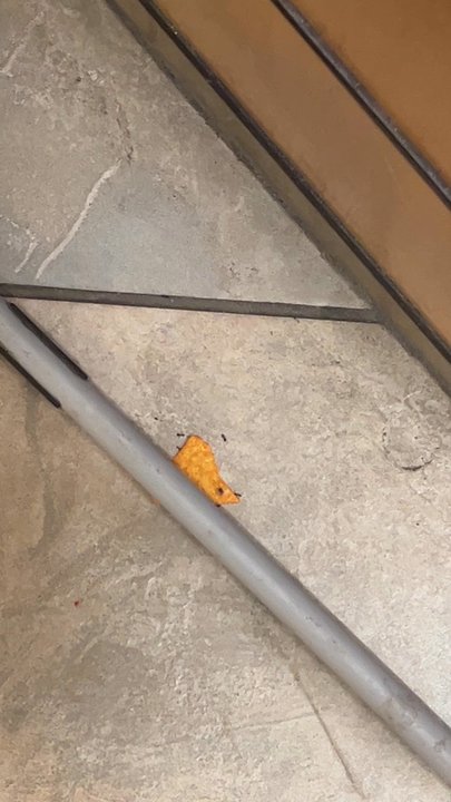 CHILSON RECREATION CENTER - Updated October 2025 - 20 Photos & 34 ...