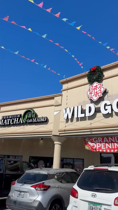 WILD GOJI REVOLVING SUSHI & BAR - Updated July 2025 - 2006 Photos ...