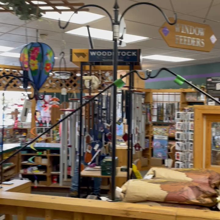 CALIFORNIA BACKYARD BIRDS, INC - Updated July 2025 - 22 Photos & 40 ...