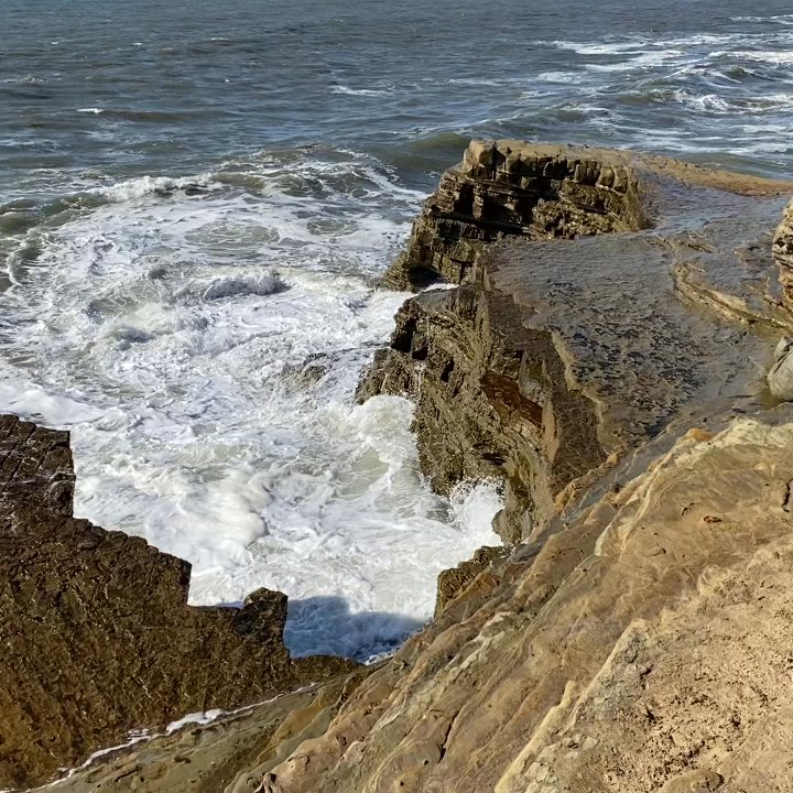 POINT LOMA TIDE POOLS - Updated December 2025 - 965 Photos & 138 ...