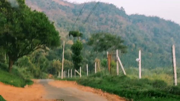 Palakkayam Thattu: A Scenic and Adventurous Hill Station in Kannur