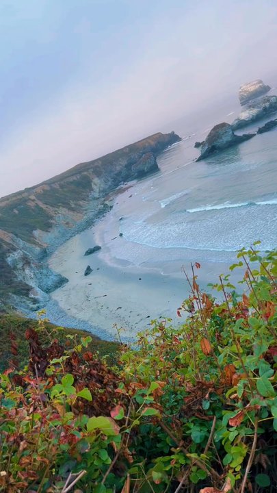 PLASKETT CREEK CAMPGROUND - Updated December 2025 - 132 Photos & 98 ...