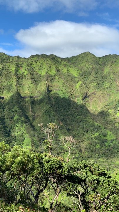 MOANALUA MIDDLE RIDGE - Updated October 2025 - 274 Photos & 42 Reviews ...