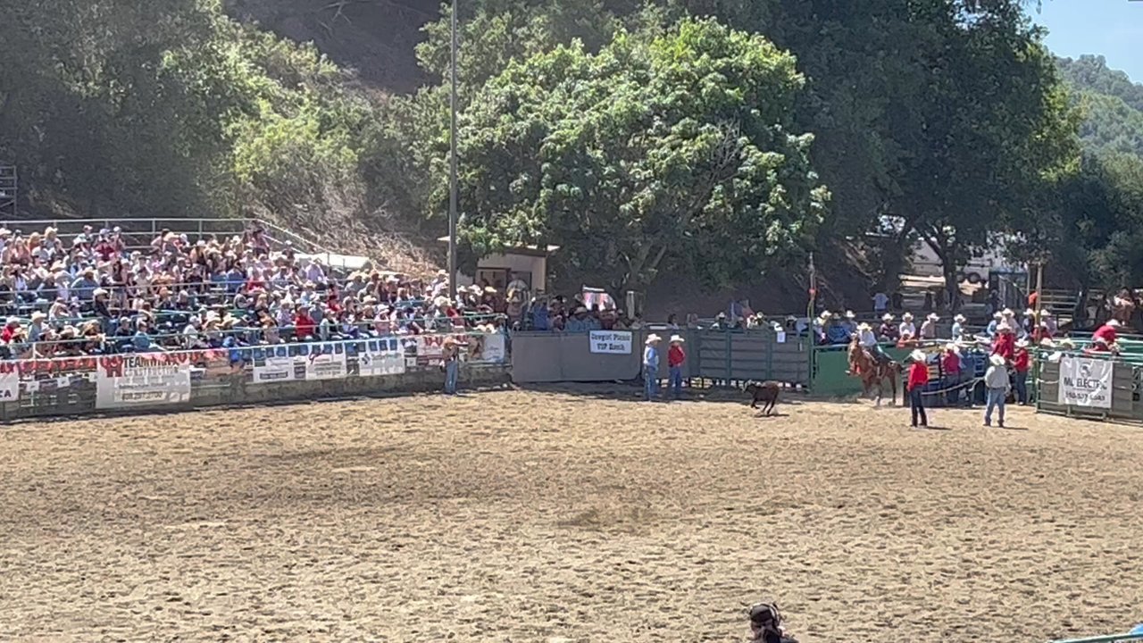 ROWELL RANCH RODEO - Updated July 2025 - 52 Photos & 12 Reviews - 9725 ...