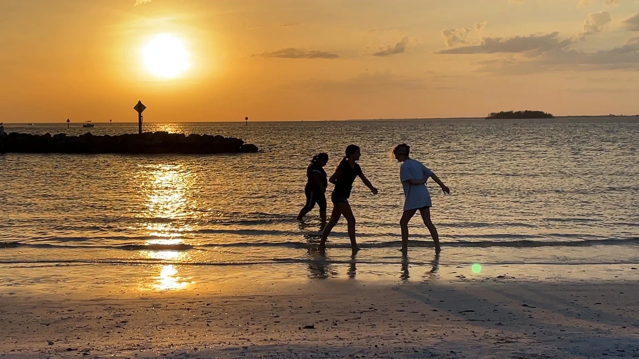 APOLLO BEACH NATURE PRESERVE - Updated December 2025 - 249 Photos & 48 ...