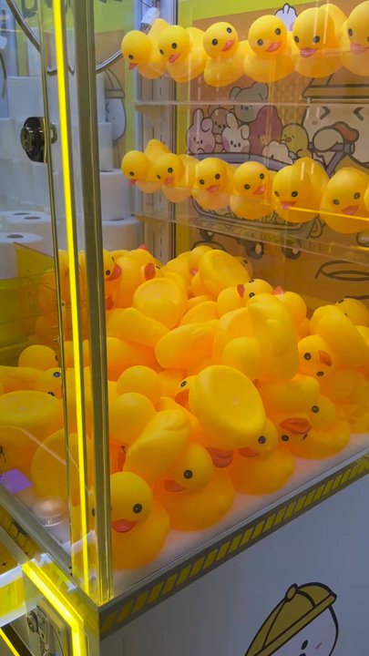 DUCK - Updated June 2025 - 38 Photos & 21 Reviews - 1004 Diffley Rd ...