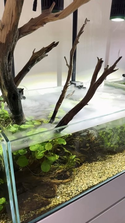 CK FISH WORLD - Updated May 2025 - 438 Photos & 463 Reviews - 541 North ...