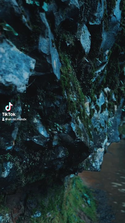 SILVER FALLS STATE PARK - Updated July 2025 - 1623 Photos & 342 Reviews ...