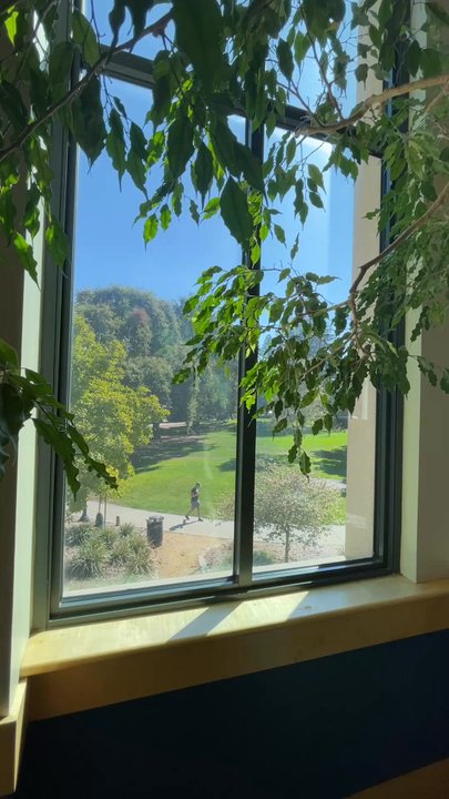 MOUNTAIN VIEW PUBLIC LIBRARY - Updated November 2025 - 163 Photos & 265 ...