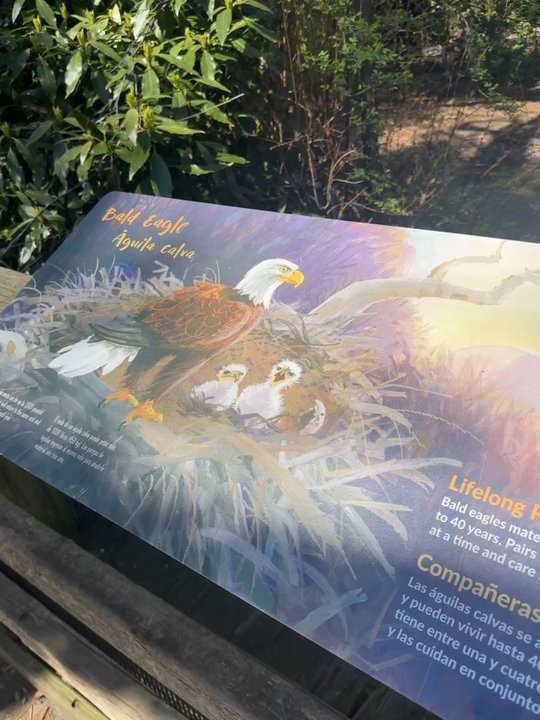 QUEENS ZOO - Updated June 2026 - 1132 Photos & 225 Reviews - 5351 111th ...