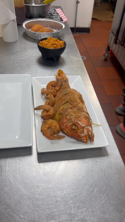 OKO FINE CUISINE - Updated October 2025 - 70 Photos & 26 Reviews - 437 ...