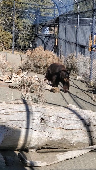 ANIMAL ARK - Updated June 2025 - 512 Photos & 157 Reviews - 1265 ...