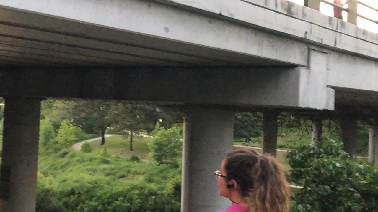 WAUGH DRIVE BAT COLONY - Updated May 2026 - 112 Photos & 50 Reviews ...