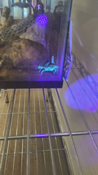 WHITE TANK LIBRARY - Updated December 2025 - 104 Photos & 43 Reviews ...