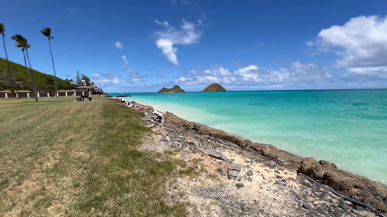 BELLOWS FIELD BEACH PARK - Updated December 2025 - 579 Photos & 187 ...
