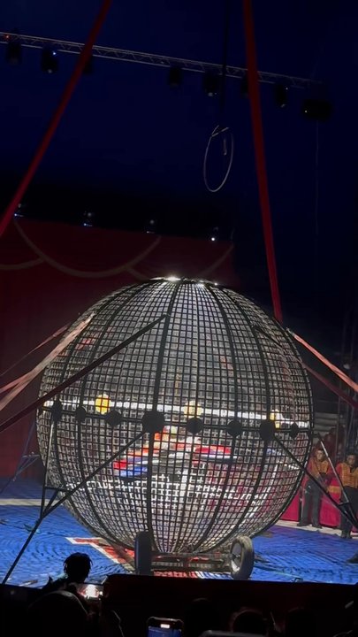 DO PORTUGAL CIRCUS - Updated January 2026 - 250 Woodbridge Center Dr ...