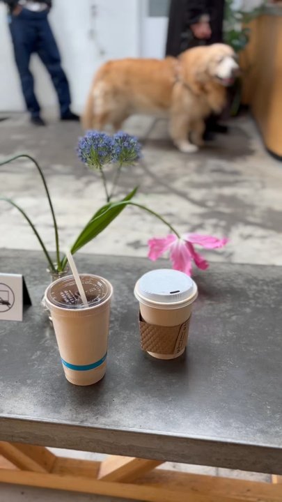 SEY COFFEE - Updated July 2025 - 311 Photos & 252 Reviews - 18 Grattan ...