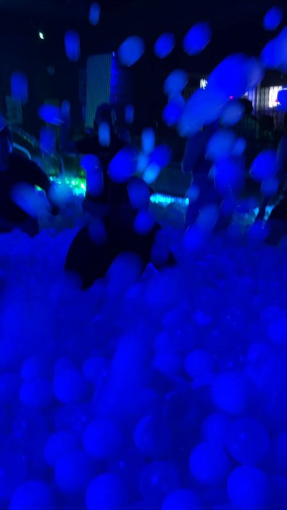 CONCOURSE DANCE BAR - Updated February 2025 - 86 Photos & 160 Reviews ...