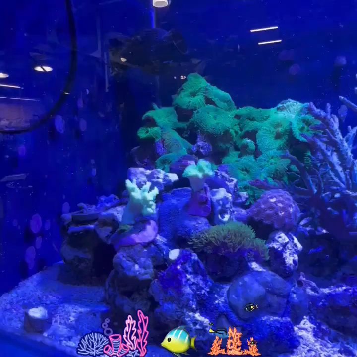 PREUSS PETS - Updated June 2026 - 86 Photos & 96 Reviews - 1127 N Cedar ...