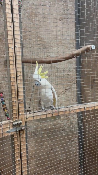 STAR ECO STATION - Updated December 2025 - 180 Photos & 107 Reviews ...