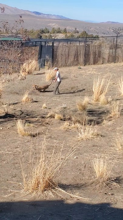 ANIMAL ARK - Updated June 2025 - 512 Photos & 157 Reviews - 1265 ...