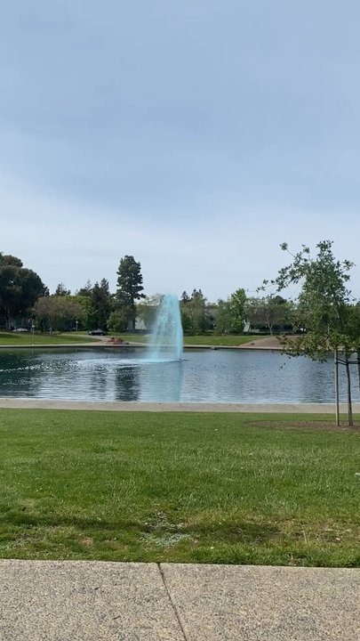 SUNNYVALE COMMUNITY CENTER - Updated September 2025 - 158 Photos & 40 ...