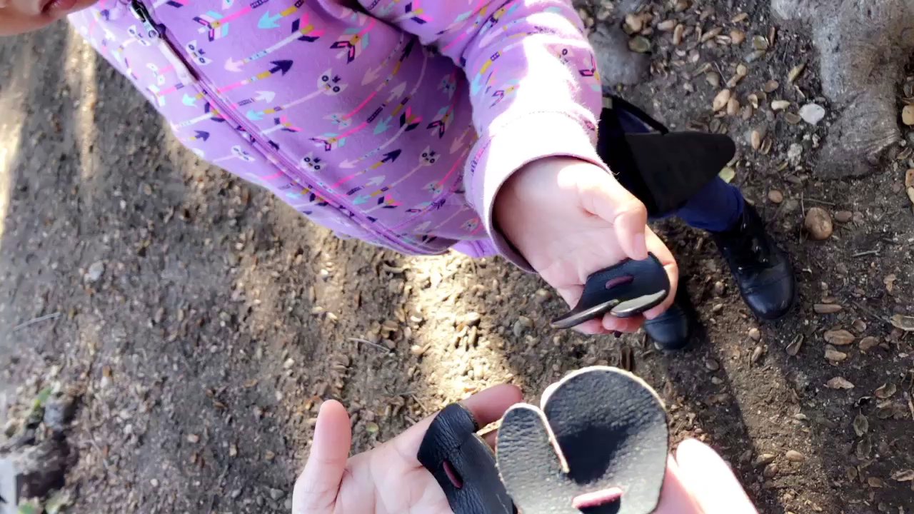 PASADENA ROVING ARCHERS - Updated September 2025 - 184 Photos & 152 ...