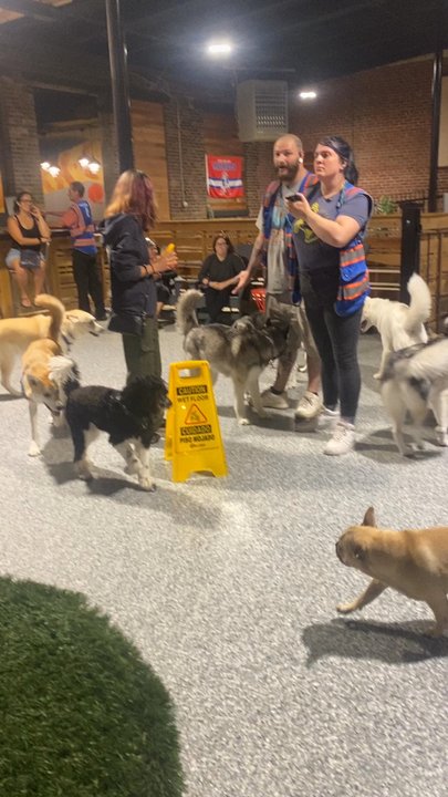 PARK-9 DOG BAR - Updated May 2026 - 177 Photos & 53 Reviews - 48 Waters ...