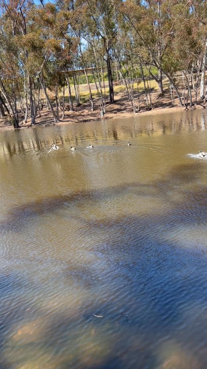 SCRIPPS MIRAMAR RANCH LIBRARY - Updated January 2026 - 105 Photos & 58 ...