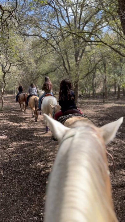 WESTCREEK TRAIL RIDES - Updated March 2025 - 101 Photos & 95 Reviews ...