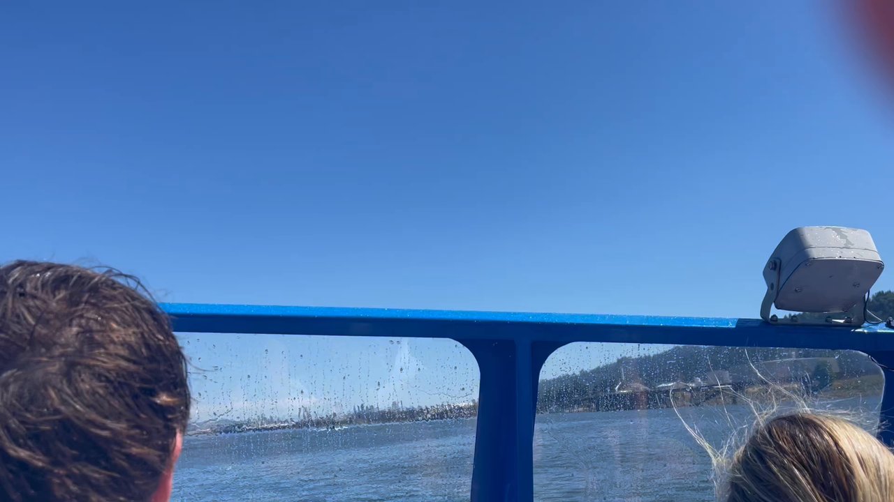 WILLAMETTE JETBOAT EXCURSIONS - Updated August 2025 - 157 Photos & 249 ...