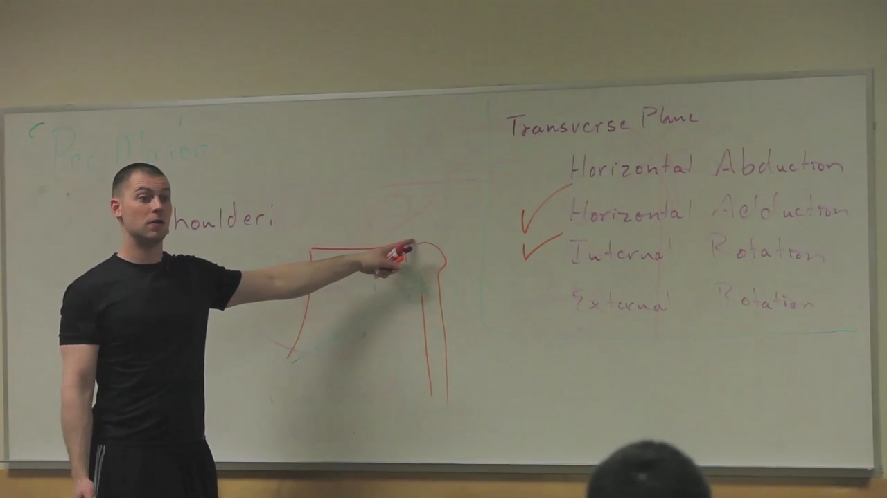 Basics of the Human Movement Systems: Video #5 of Introduction to ...