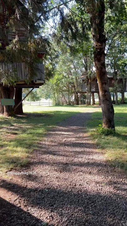 OUT’N’ABOUT TREEHOUSE TREESORT - Updated October 2025 - 314 Photos & 91 ...