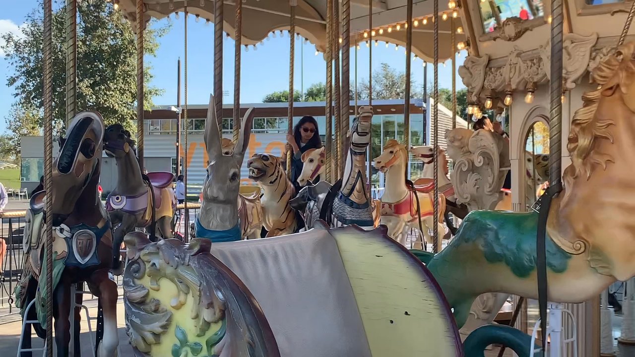 GREAT PARK CAROUSEL - Updated January 2025 - 40 Photos & 16 Reviews ...