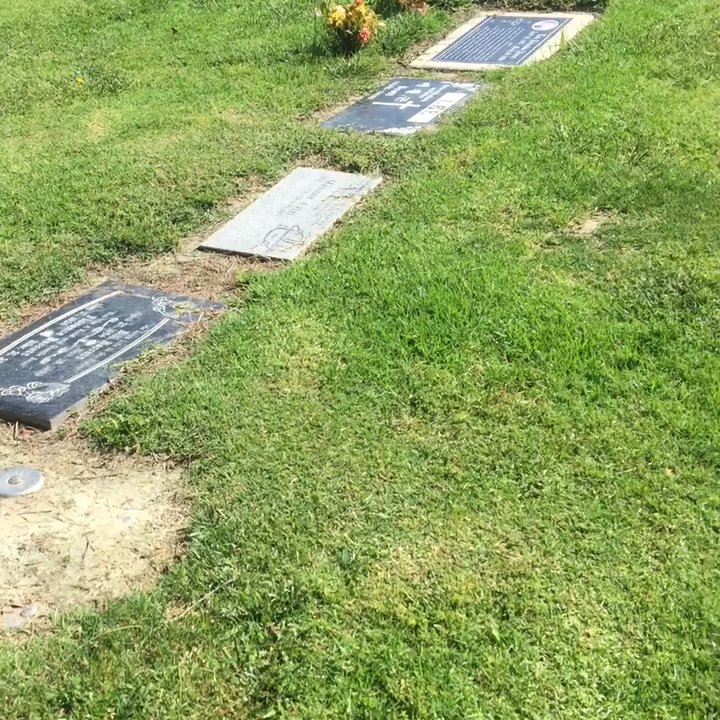 EL TORO MEMORIAL PARK - Updated October 2025 - 98 Photos & 29 Reviews ...