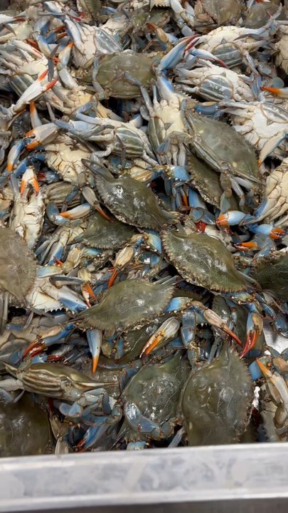 ENSON MARKET - Updated March 2025 - 361 Photos & 26 Reviews - 1385 ...