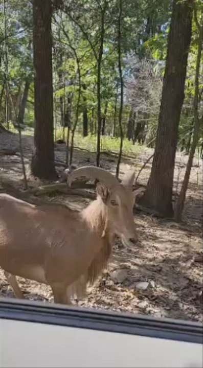 WILSTEM - Updated December 2025 - 354 Photos & 89 Reviews - 4229 W US ...